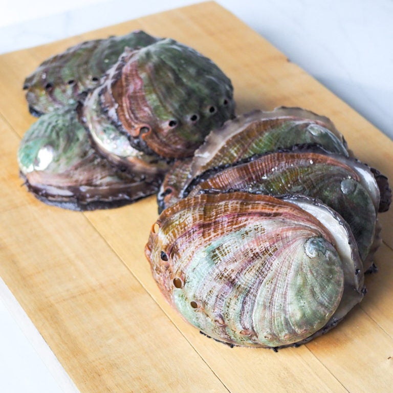 6 Pack (Standard Abalone)-T | The Cultured Abalone Farm